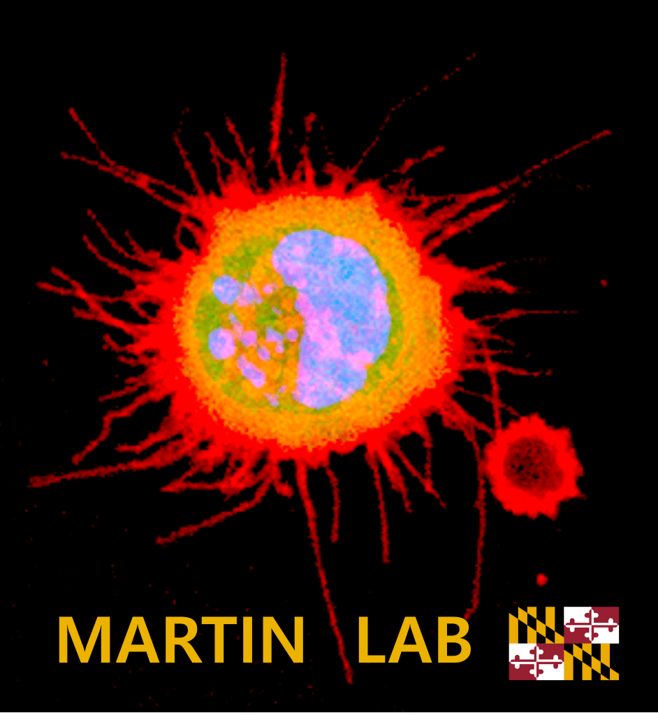 News! – Martin Laboratory